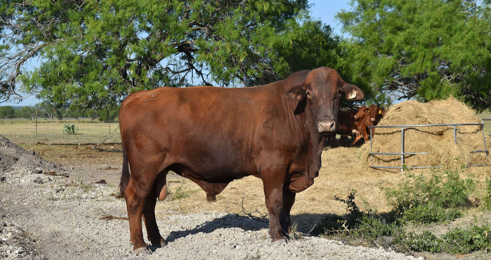 Rafter 2 Ranch - Gallery